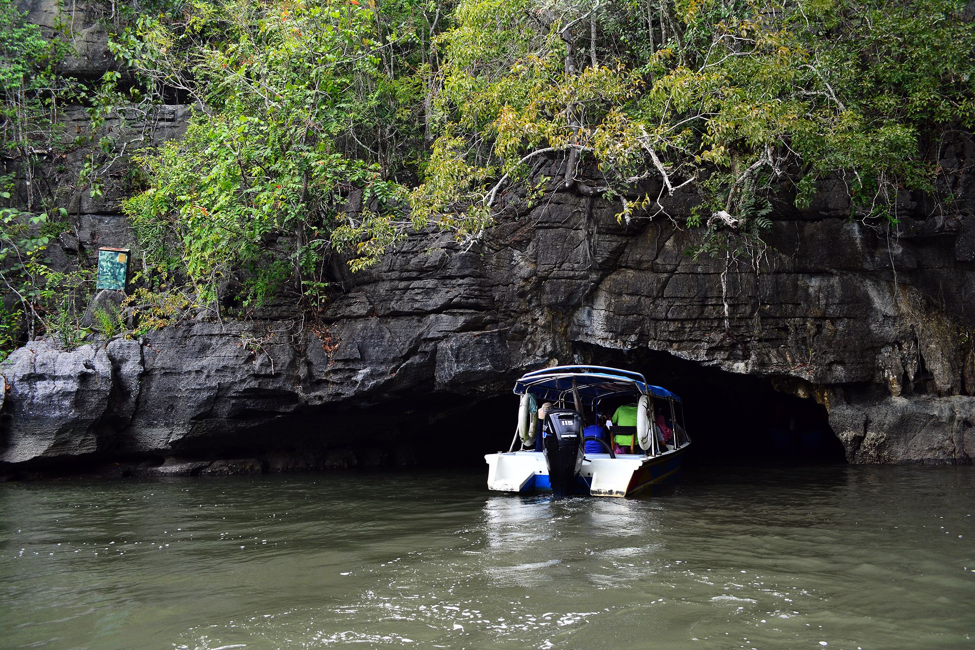 Uncover the Secrets of Langkawi’s Mangroves with a Guided Tour - FK ...