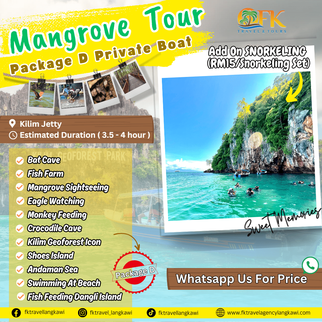 Langkawi Mangrove Tour 2024 Promo - Kilim Geoforest Park